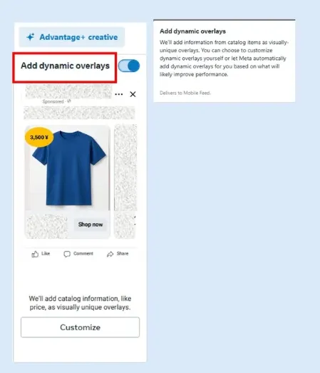 Meta Updates Dynamic Labels for Advantage+ Catalog Ads
